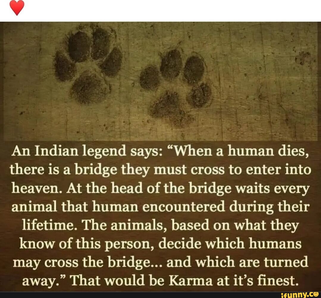 An Indian legend says: "When a human dies, there is a bridge they must ...