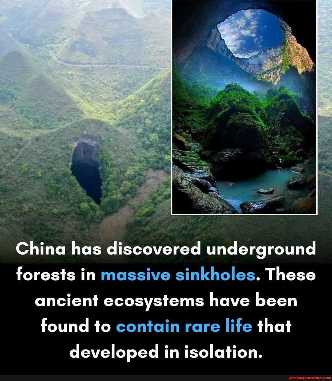 China has discovered underground forests in massive sinkholes. These ...
