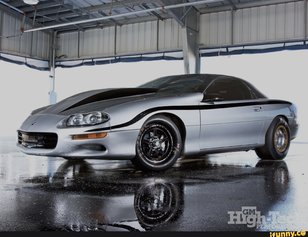 Catfish memes. Best Collection of funny Catfish pictures on iFunny