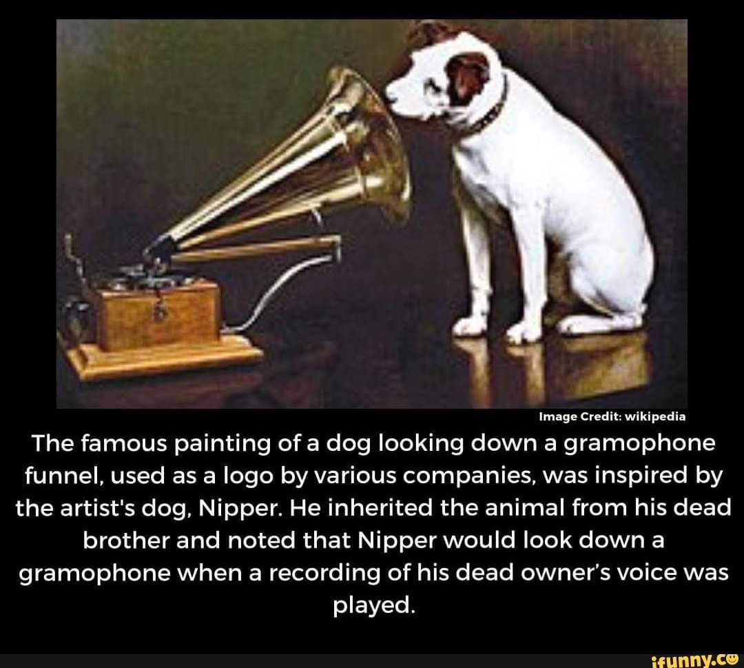 Image Credit: wikipedia The famous painting ofa dog looking down a ...
