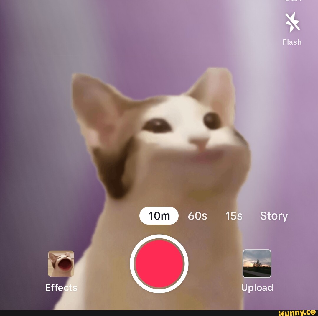 Popcat memes. Best Collection of funny Popcat pictures on iFunny