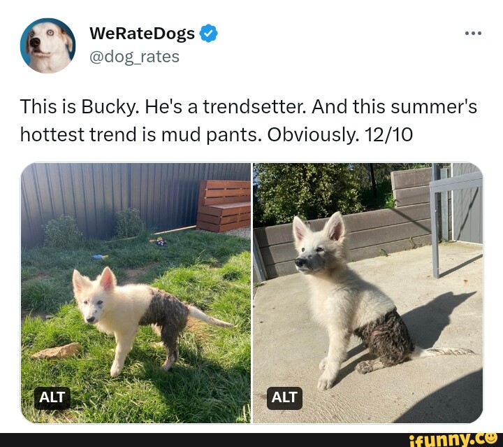 Trendsetter memes. Best Collection of funny Trendsetter pictures on iFunny