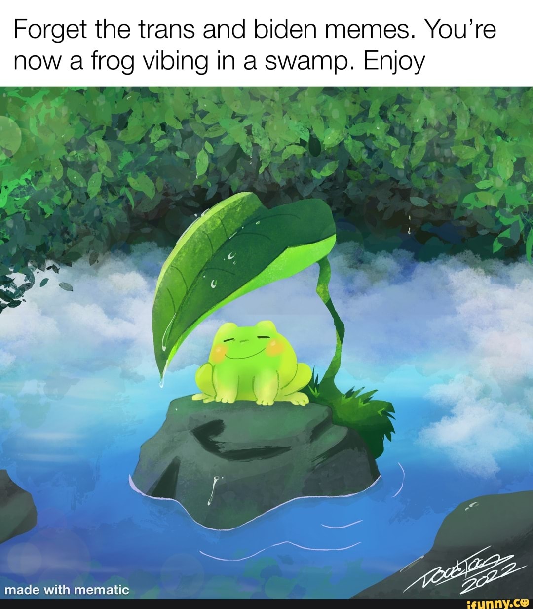 Forget the trans and biden memes. You're now a frog vibing in a swamp ...