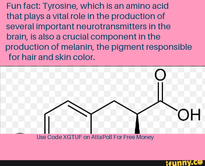 Amino memes memes. The best memes on iFunny