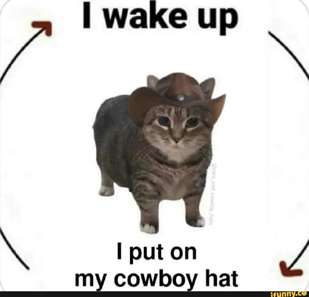 I wake up put on my cowboy hat - iFunny