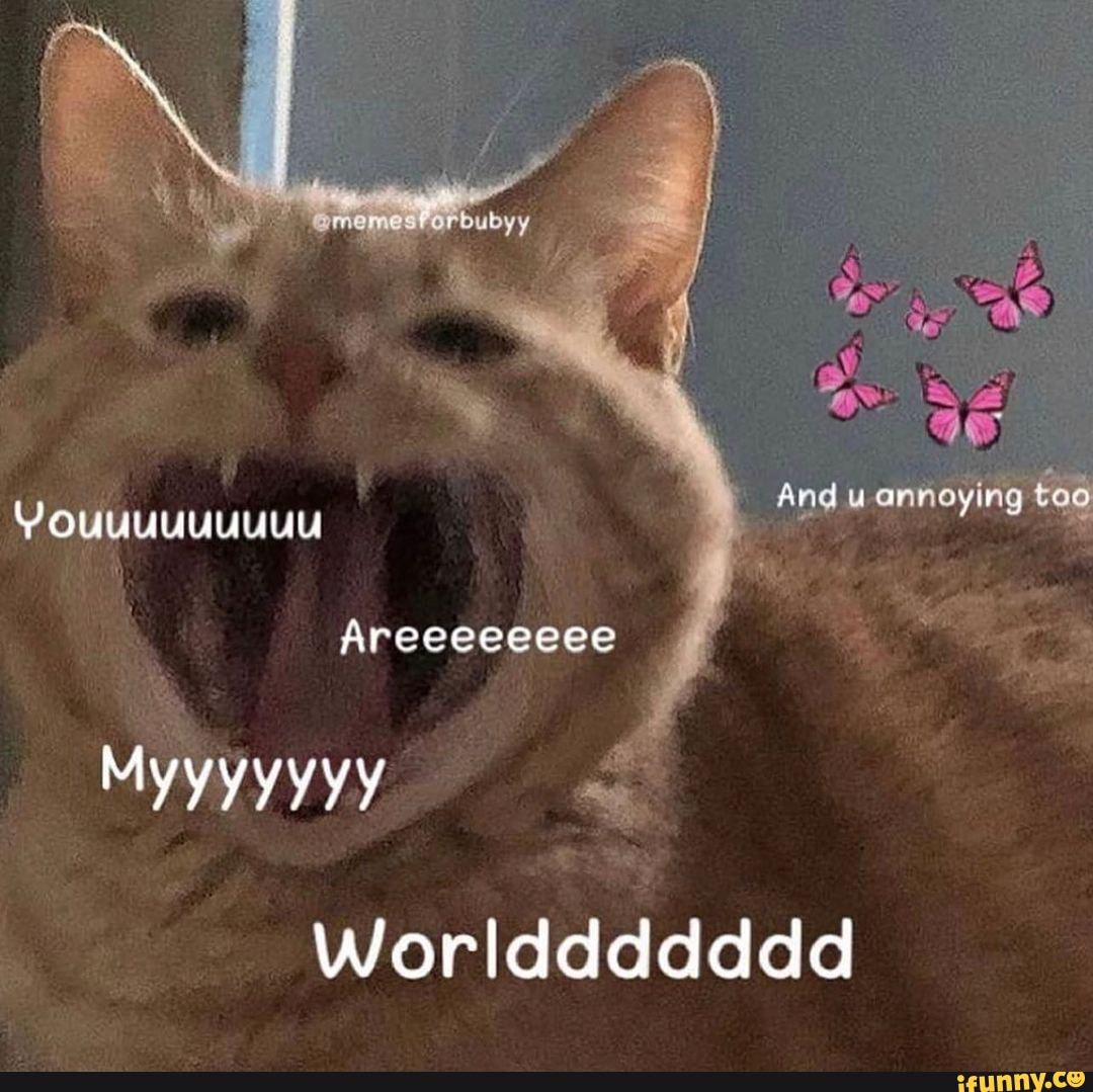 Youuuuuuuuu memes. Best Collection of funny Youuuuuuuuu pictures on iFunny