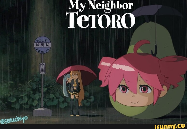 Funny Totoro Memes