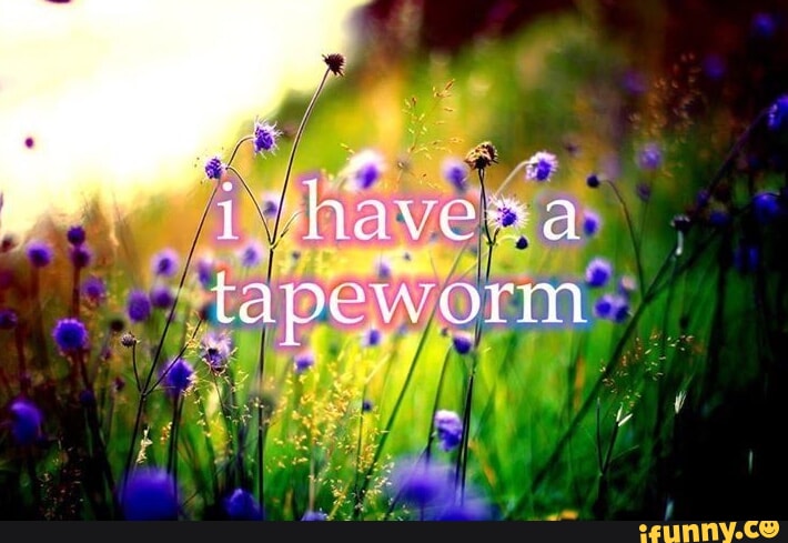 Tapeworm memes. Best Collection of funny Tapeworm pictures on iFunny