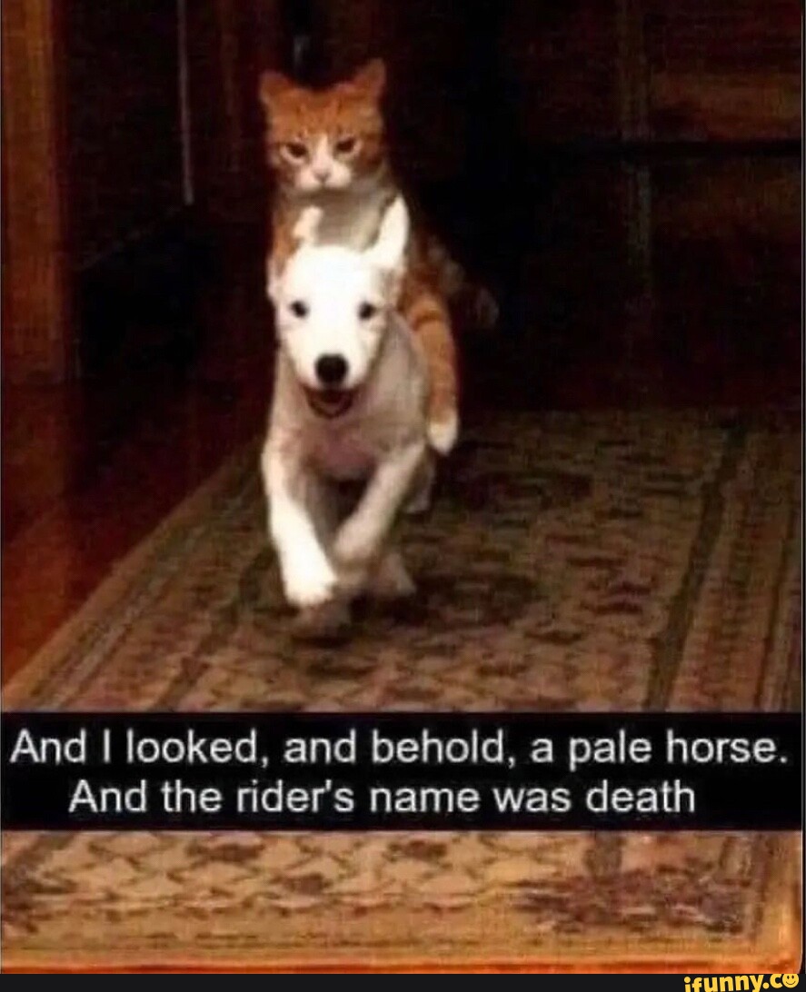 'And I looked, and behold, a pale horse. And the rider's name was death ...