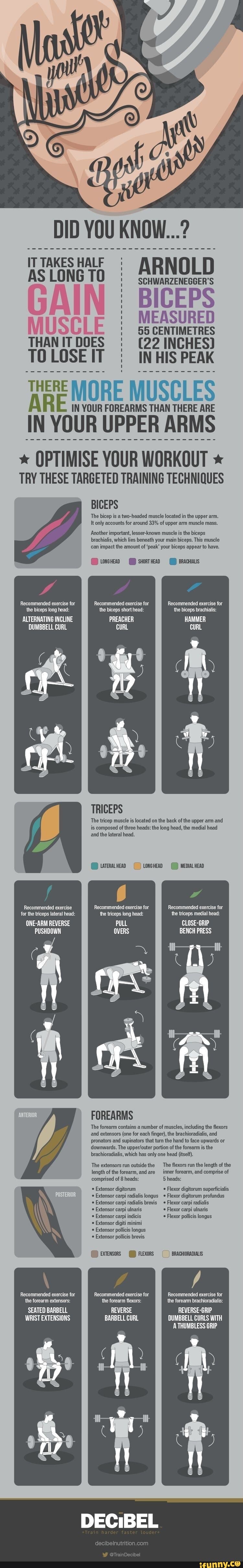 DID YOU KNOW...? IT TAKES HALF AS LONG TO GAIN MUSCLE THAN IT DOES TO ...