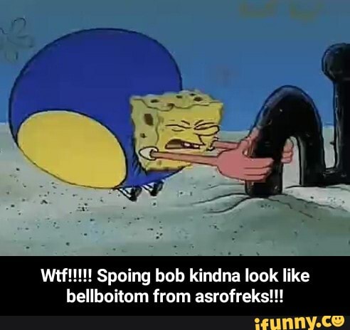 Spoing memes. Best Collection of funny Spoing pictures on iFunny