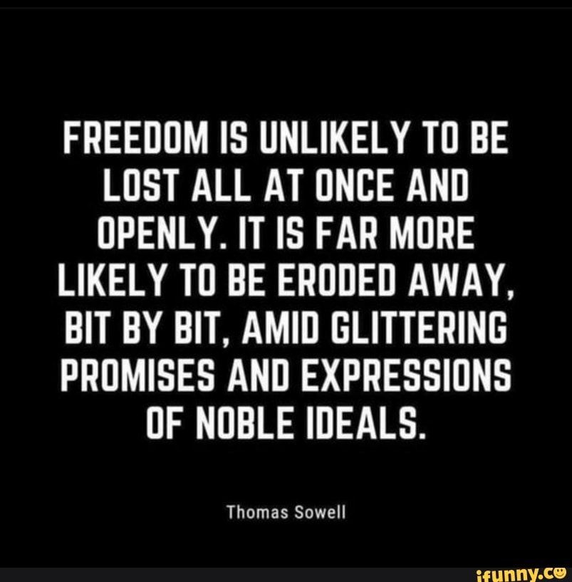 FREEDOM IS UNLIKELY BE LOST ALL AT ONCE AND OPENLY. IT IS FAR MORE ...