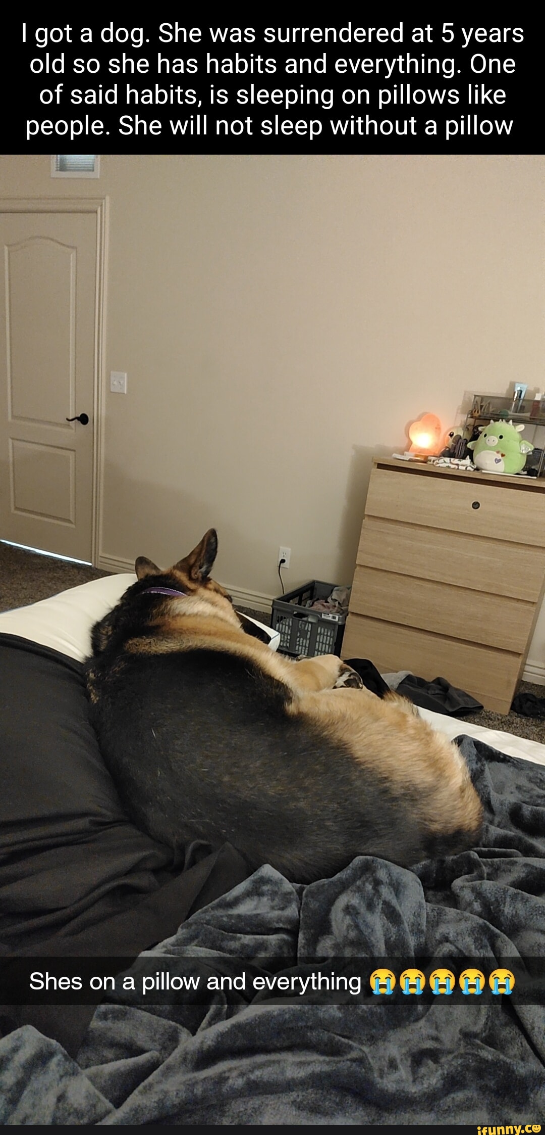 Opal memes. Best Collection of funny Opal pictures on iFunny