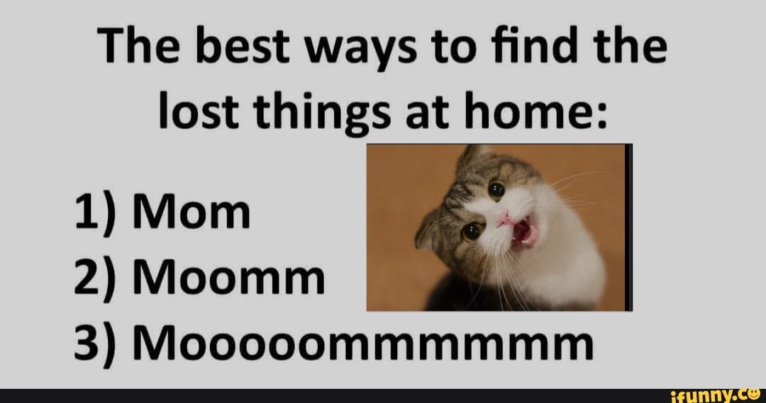 Moomm memes. Best Collection of funny Moomm pictures on iFunny