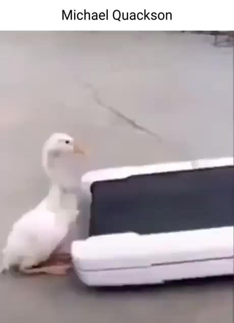 Michael Quackson - America’s best pics and videos