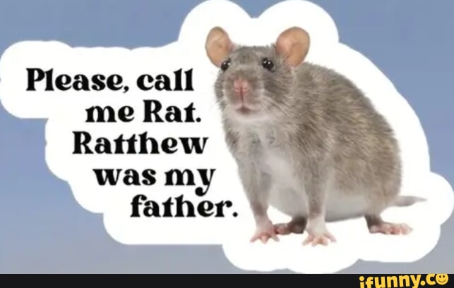 Please, call me Rat. Ratthew was my father. - iFunny