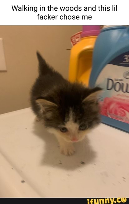 Facker memes. Best Collection of funny Facker pictures on iFunny