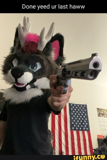 Fursuit memes. Best Collection of funny Fursuit pictures on iFunny