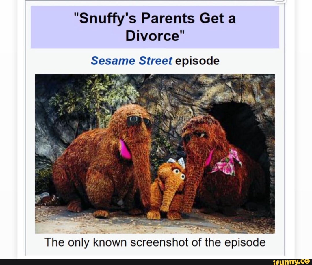 "Snuffy's Parents Get a Divorce" Sesame Street episode ON The only ...
