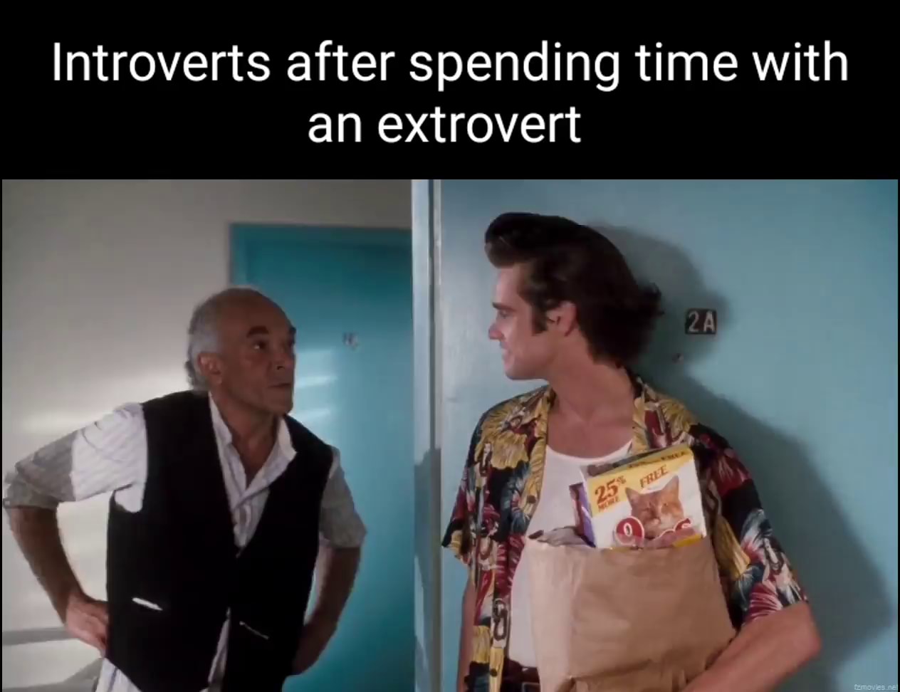 Ace Ventura Meme