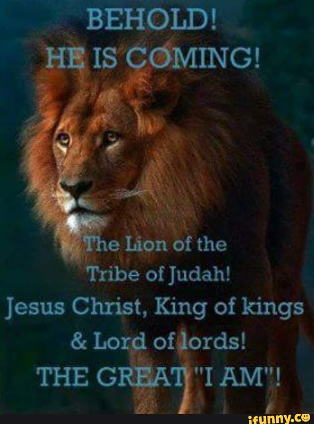 SC ne on of the Tribe of Judah! Jesus Christ, King of kings & Lord of ...