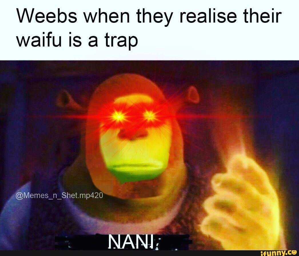 Weebs when they realise their waifu is a trap @Memes_n_Shet.mp420 - iFunny