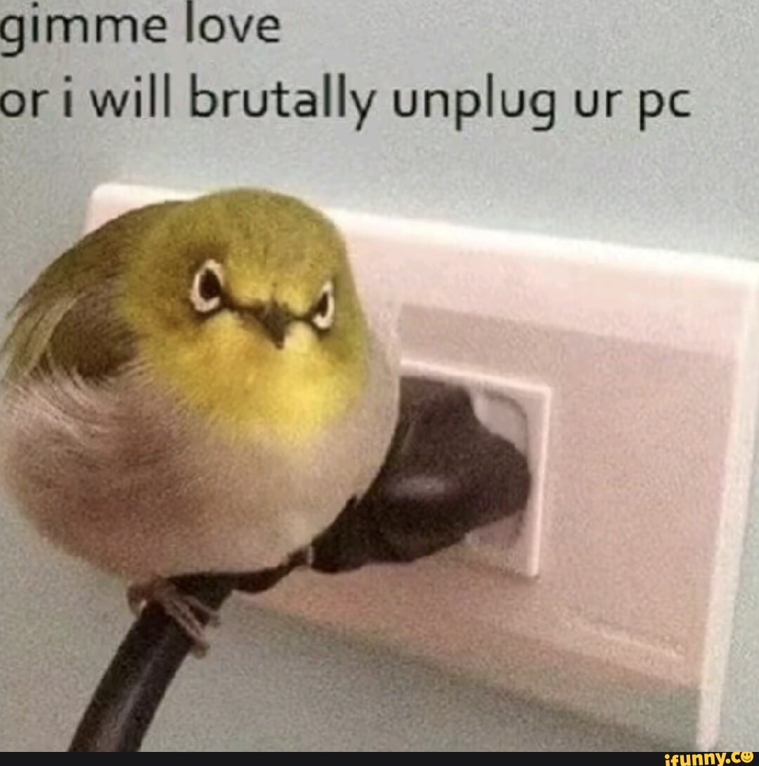 Unplug memes. Best Collection of funny Unplug pictures on iFunny