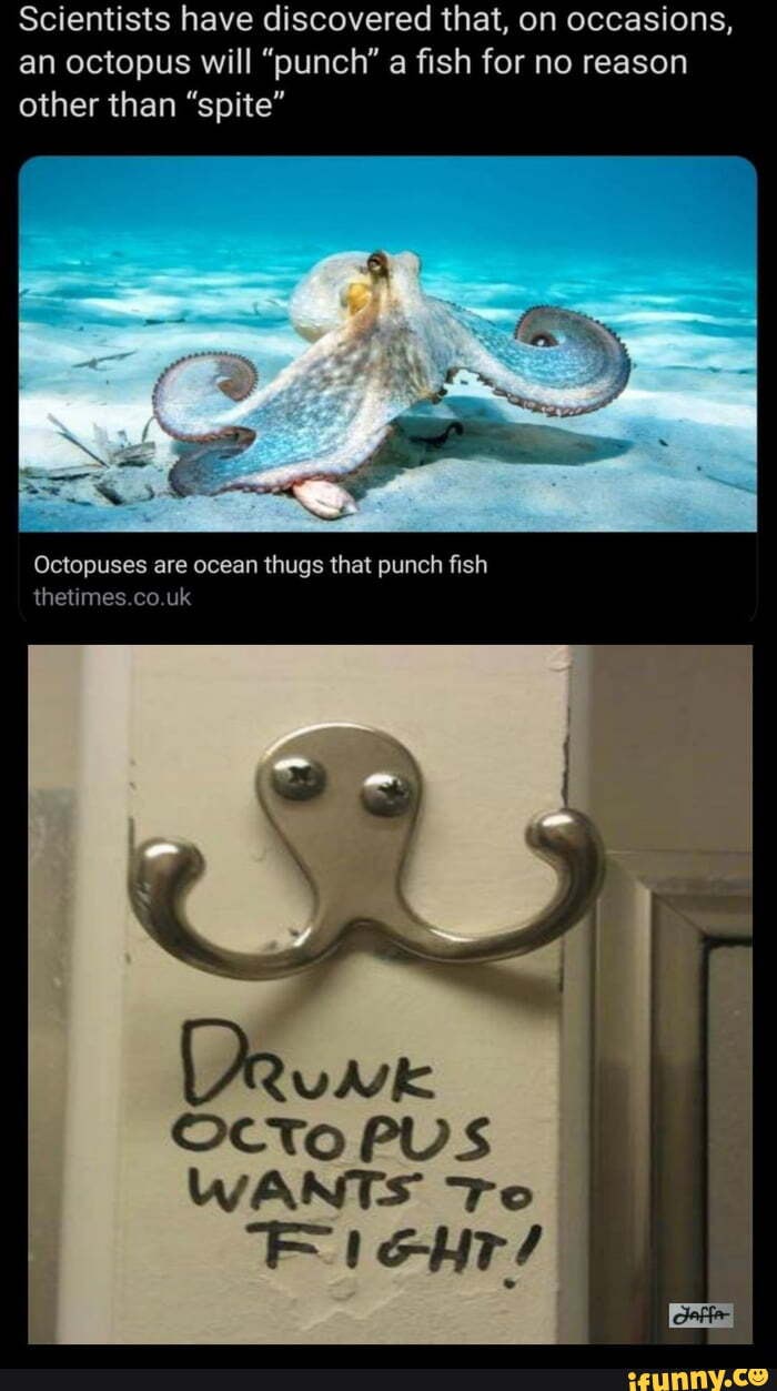 Octo memes. Best Collection of funny Octo pictures on iFunny