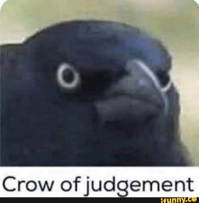 Crow of judgement - iFunny