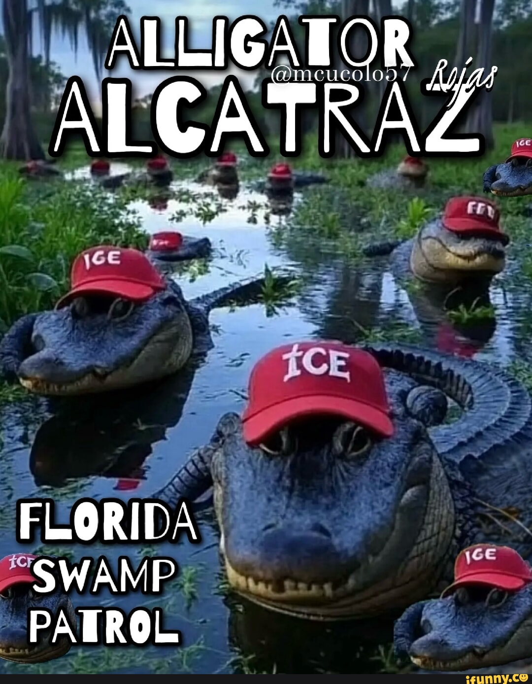 ALLIGATOR ALCATRAZ FLORIDA SWAMP PATROL - iFunny