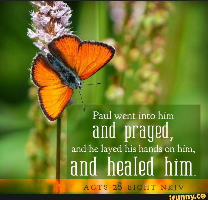 Paul went into him and prayed, and he laved his hands on him, and ...