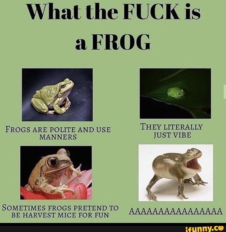 What the FUCK is a FROG FROGS ARE POLITE AND USE THEY LITERALLY MANNERS JUST VIBE SOMETIMES ...