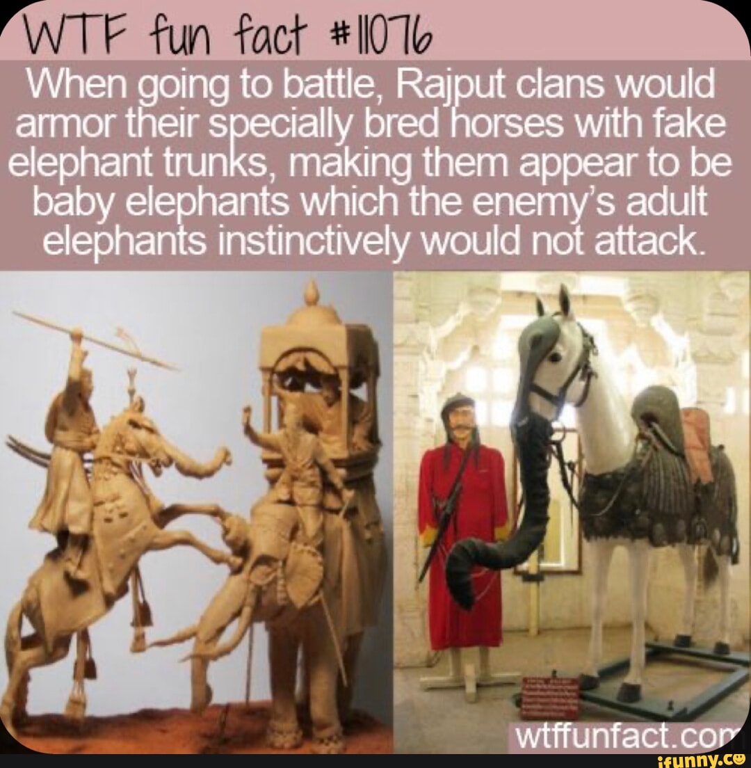 Rajput memes. Best Collection of funny Rajput pictures on iFunny