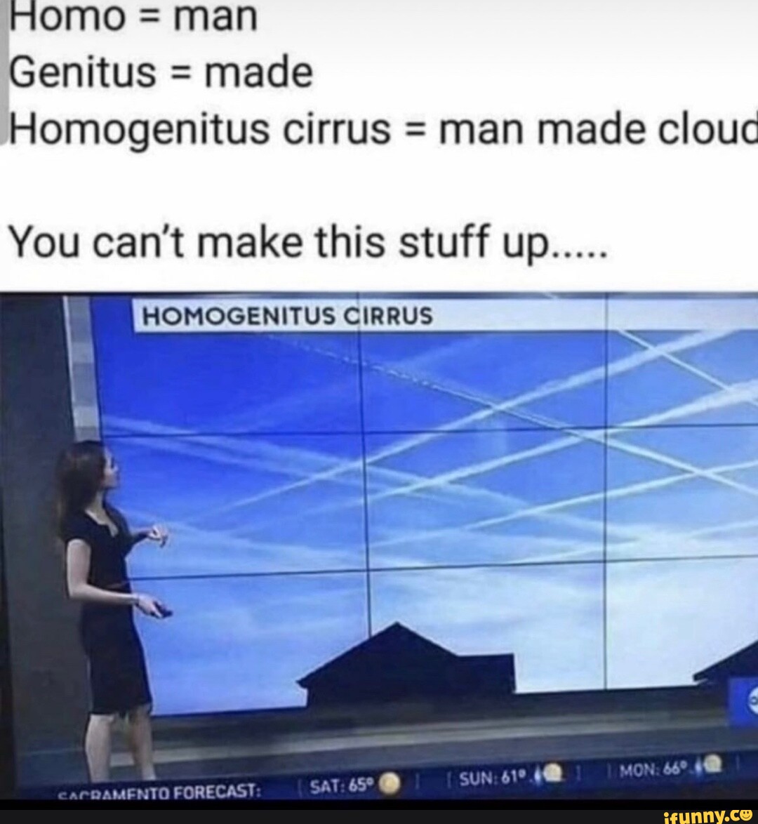 Homo = man Genitus = made Homogenitus cirrus = man made clouc You can't ...