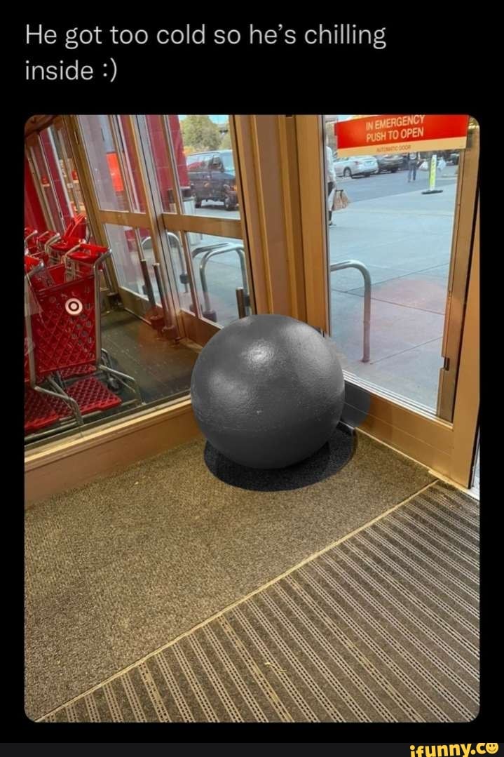 He got too cold so he's chilling inside - iFunny