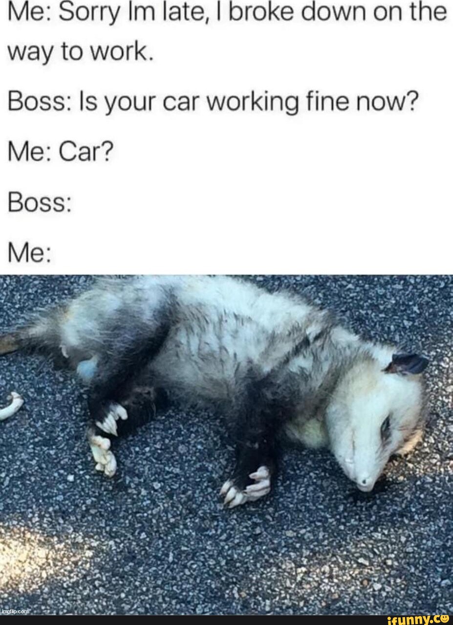 Me: Sorry Im late, I broke down on the way to work. Boss: Is your car ...