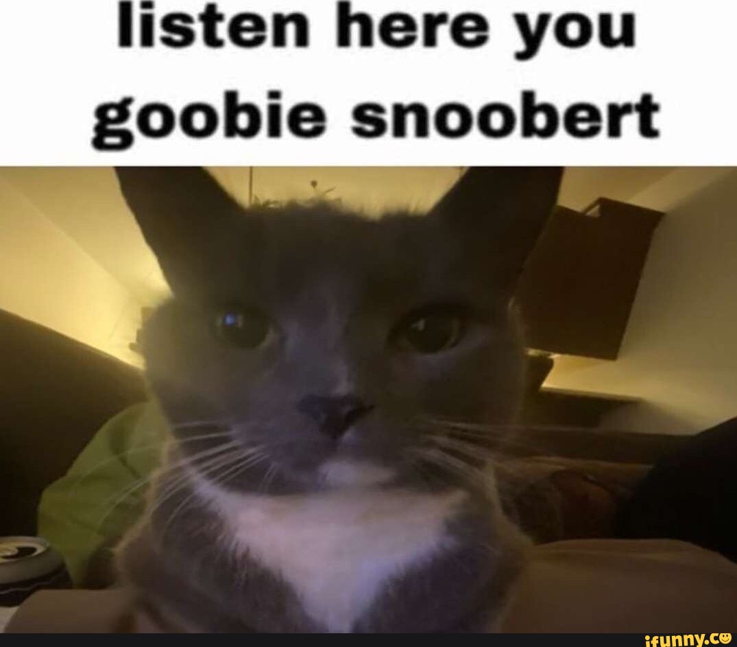 Goobie memes. Best Collection of funny Goobie pictures on iFunny