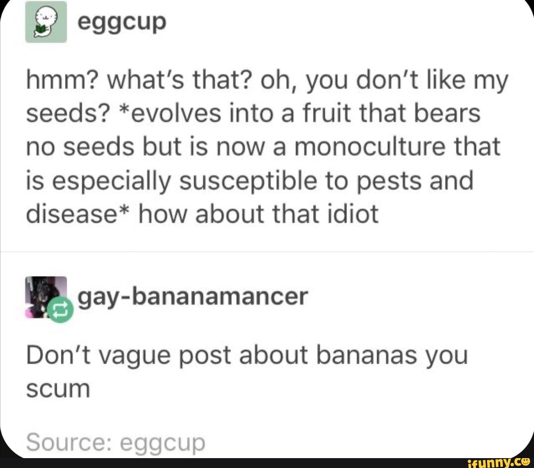 Vague memes. Best Collection of funny Vague pictures on iFunny