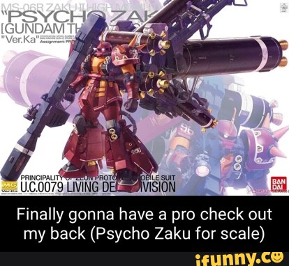 Finally gonna have a pro check out my back (Psycho Zaku for scale) - iFunny