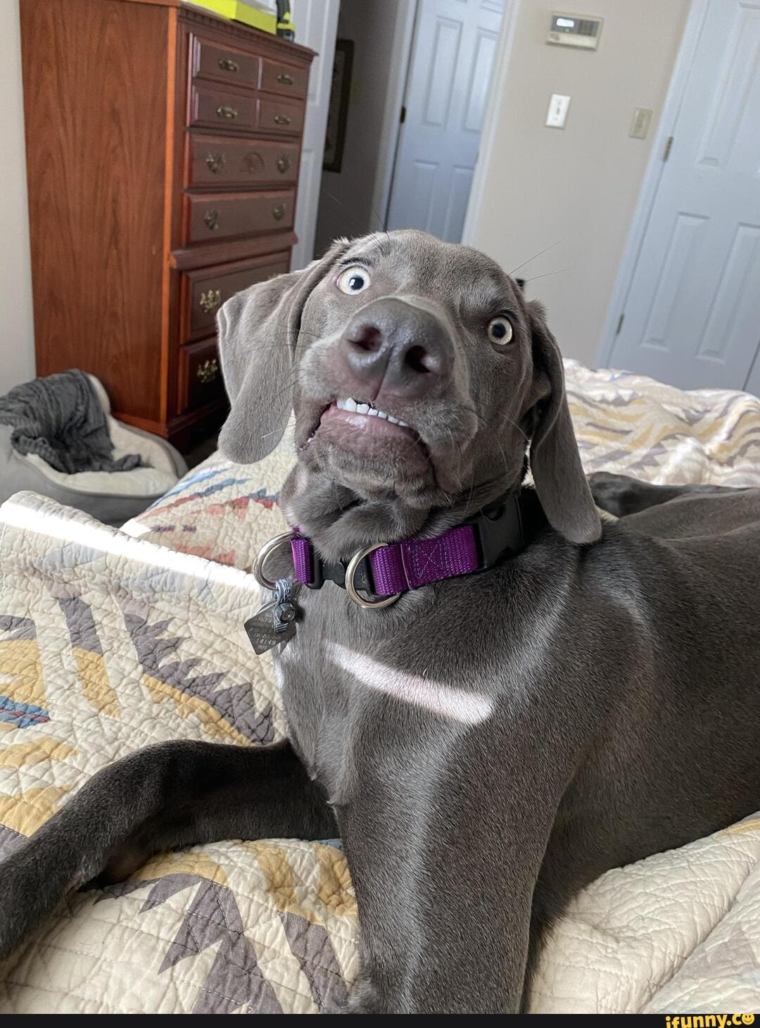 Memeify me, motherfluffers #meme - iFunny