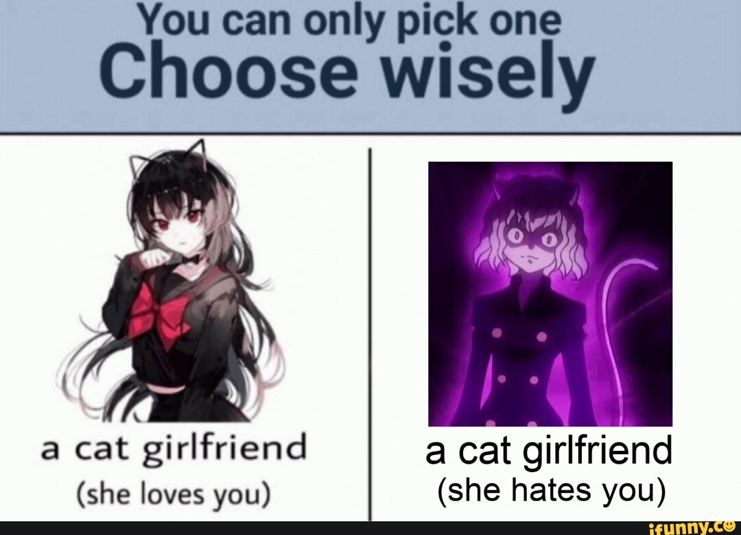 You can only pick one Choose wisely a cat girlfriend a cat girlfriend ...