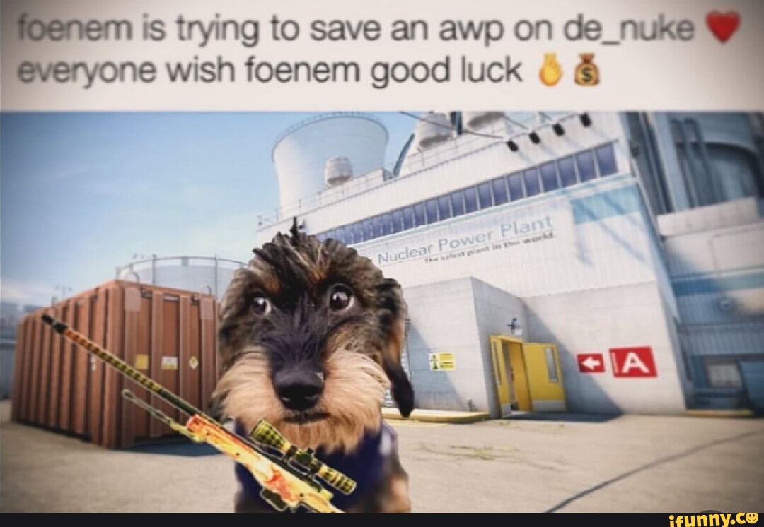 Foenem memes. Best Collection of funny Foenem pictures on iFunny