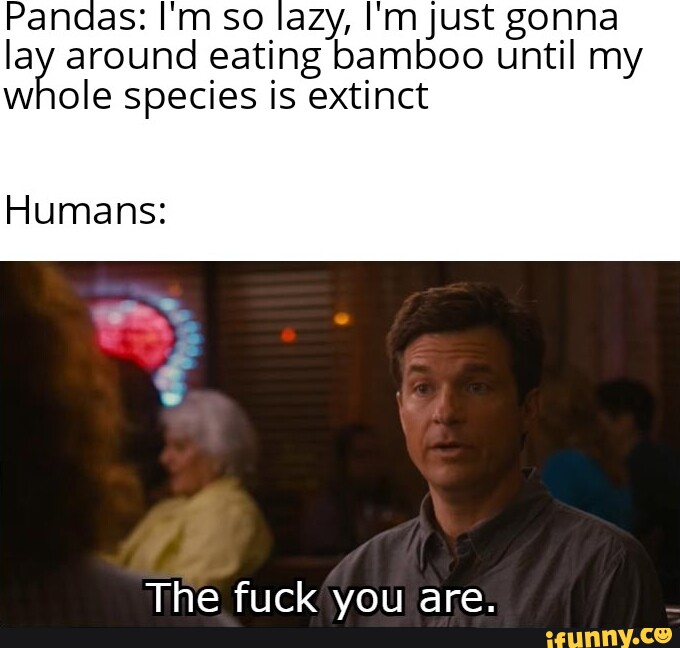 Bamboo memes. Best Collection of funny Bamboo pictures on iFunny