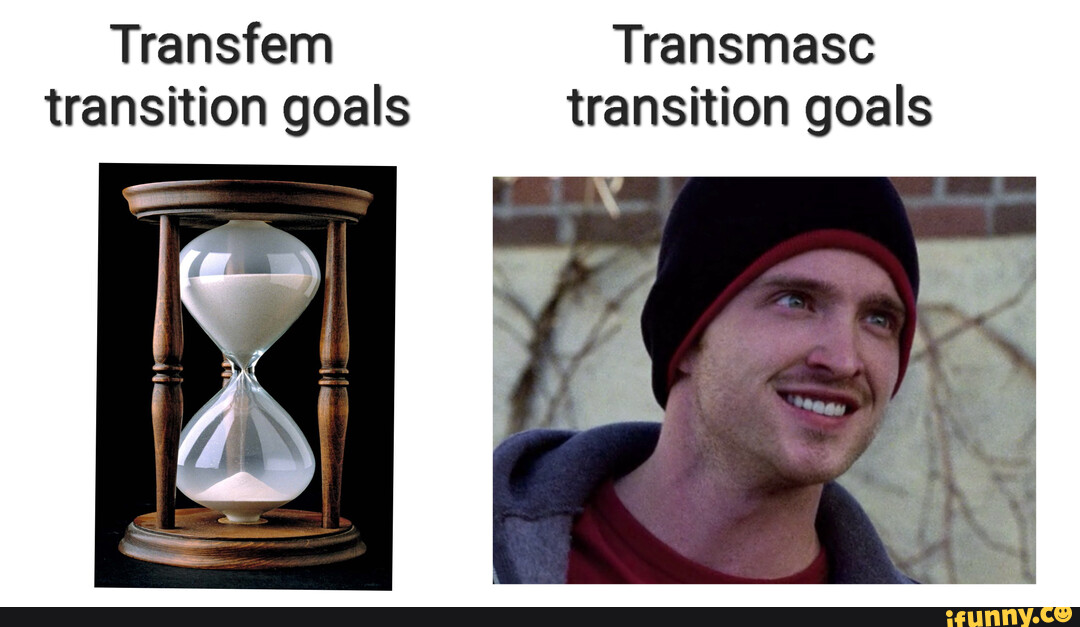 Eggirl - Transfem Transmasc transition goals transition goals - iFunny