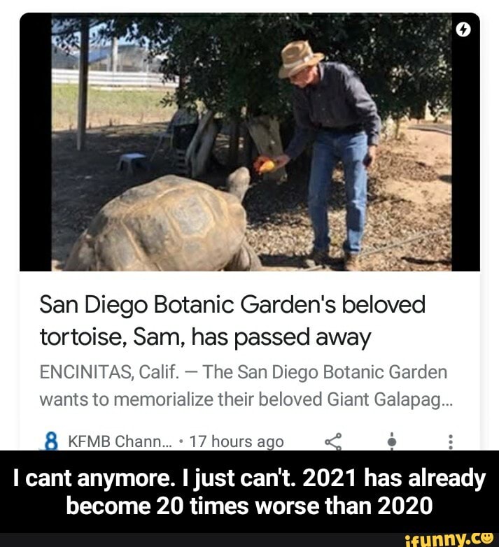 Galapag memes. Best Collection of funny Galapag pictures on iFunny