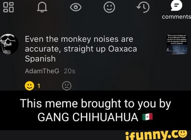 Oaxaca memes. Best Collection of funny Oaxaca pictures on iFunny