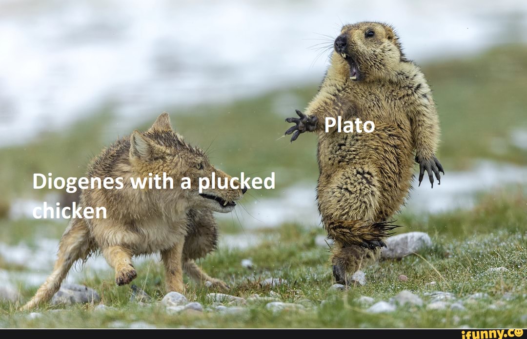 Plato Diogenes with a plucked chicken - iFunny