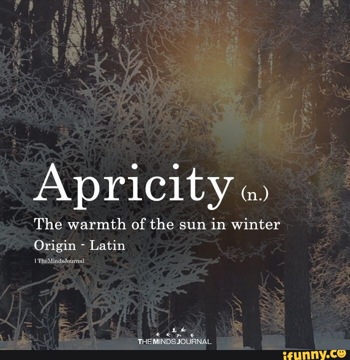 Apricity memes. Best Collection of funny Apricity pictures on iFunny