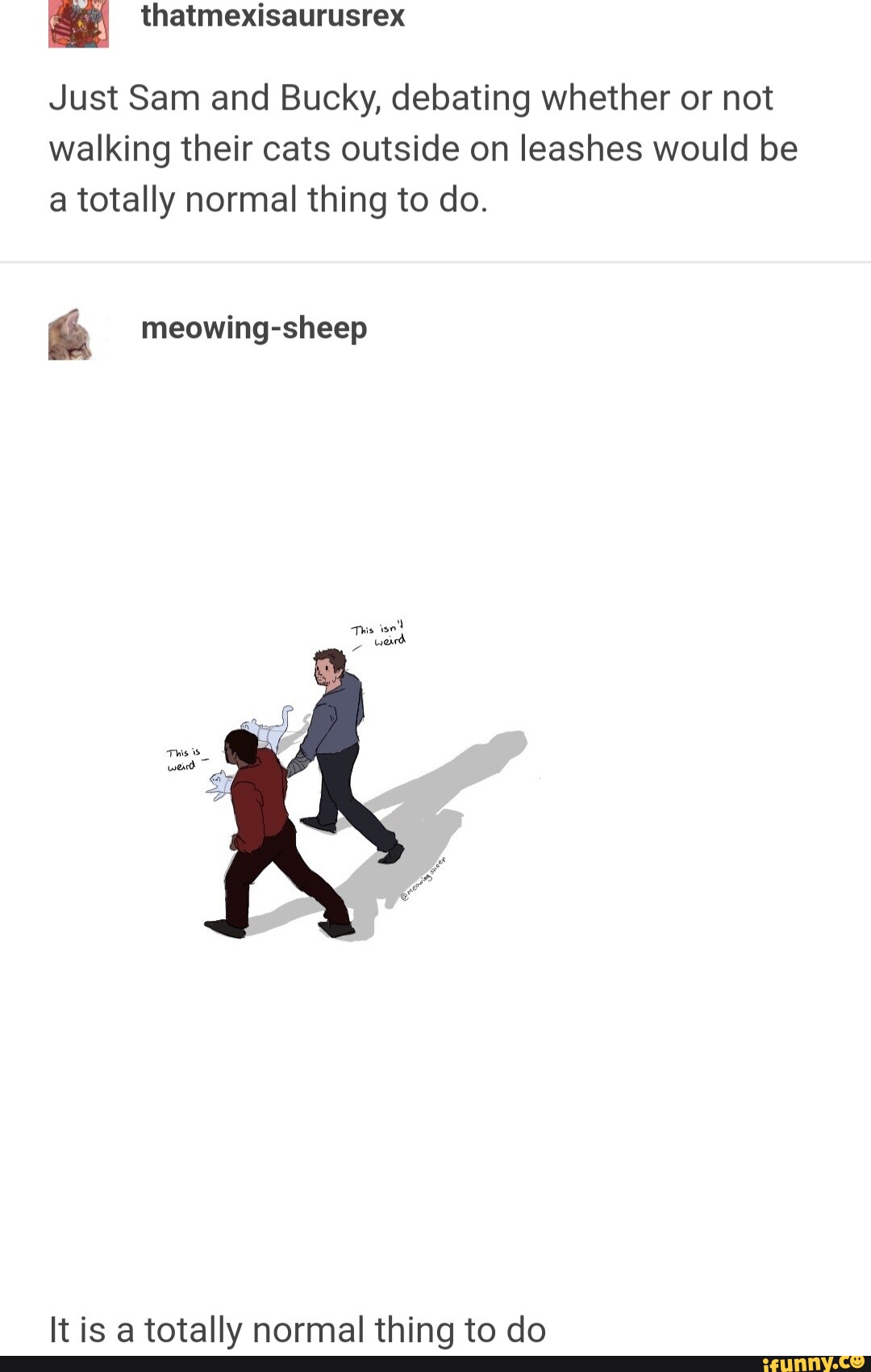 Samwilson memes. Best Collection of funny Samwilson pictures on iFunny