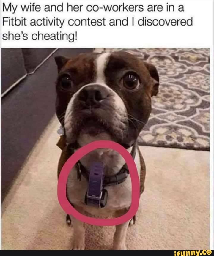 Fitbit memes. Best Collection of funny Fitbit pictures on iFunny